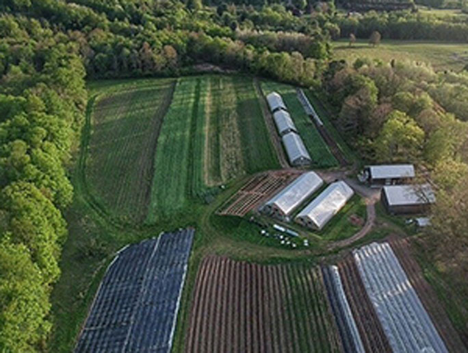 Fullers Overlook Farm